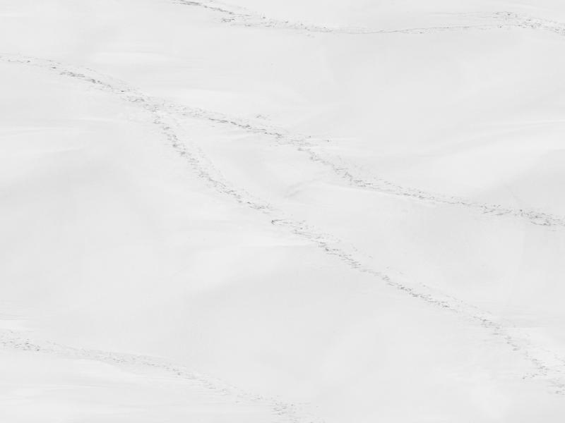 Venato Blanc Quartz Worktop - Buy Online | LSD Stone